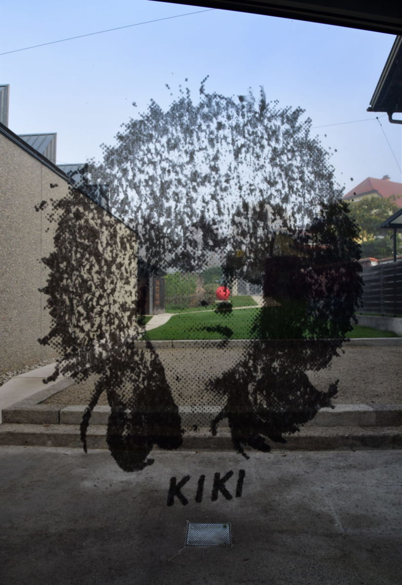 Werner Berg Museum | This Is Your Life